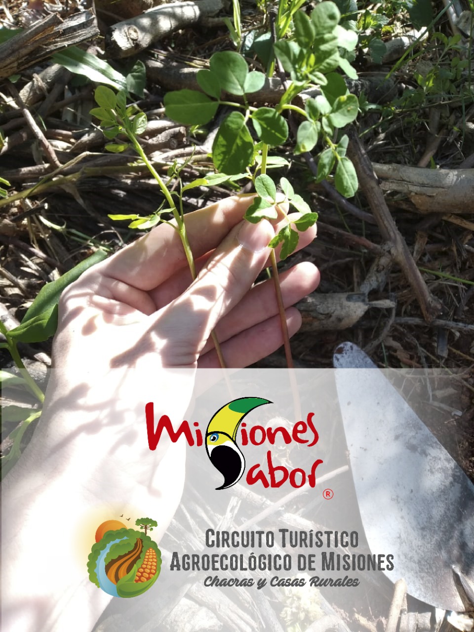 Nueva incorporación al CITAEM: "MISIONES SABOR" - Circuito Turistico Agroecologico de Misiones